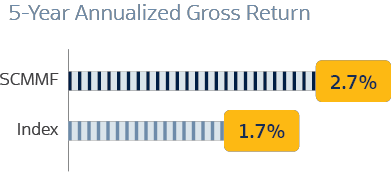 Management Discussion and Analysis