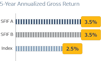 Management Discussion and Analysis